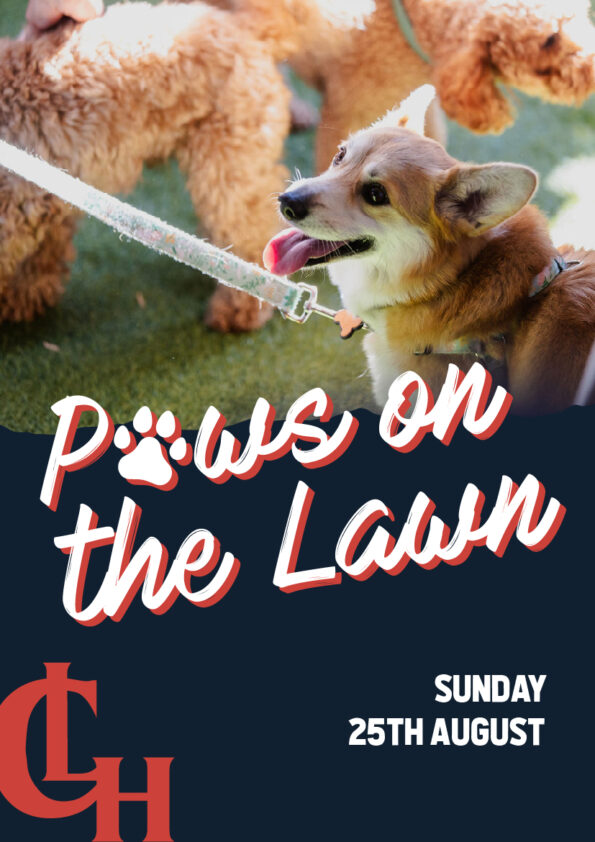 Local Pub & Epic Beer Garden - College Lawn Hotel, Prahran Melbourne